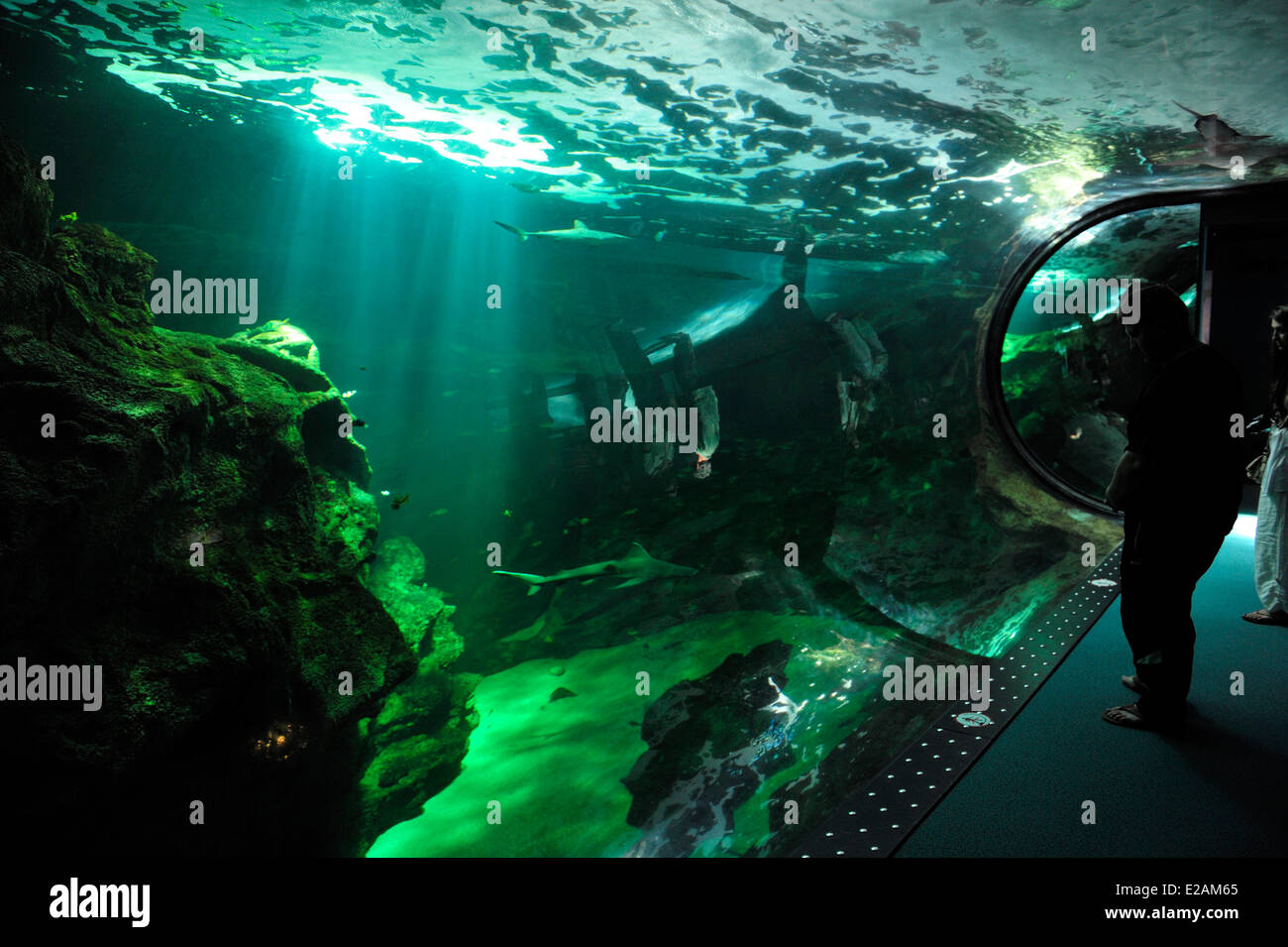 France, Charente Maritime, La Rochelle, Aquarium La Rochelle ...