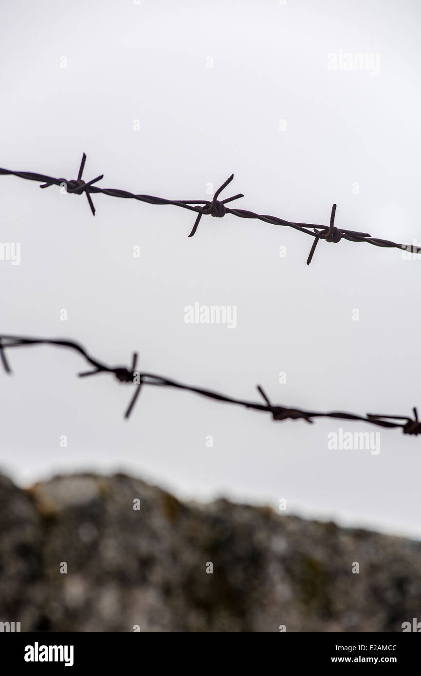 Penitentiary barbed wire hi-res stock photography and images - Alamy