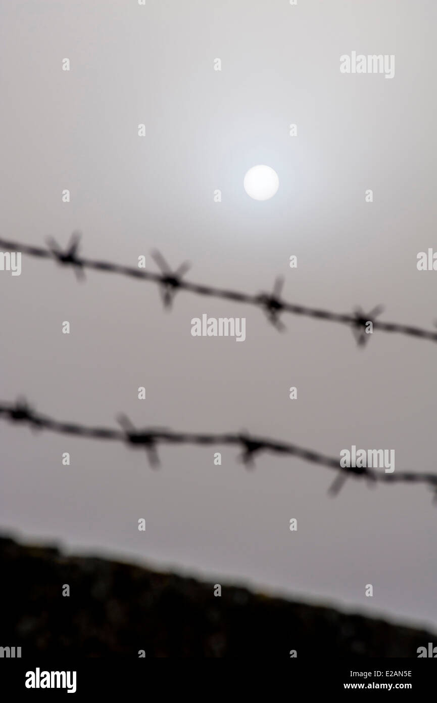 Life behind the wire hi-res stock photography and images - Alamy