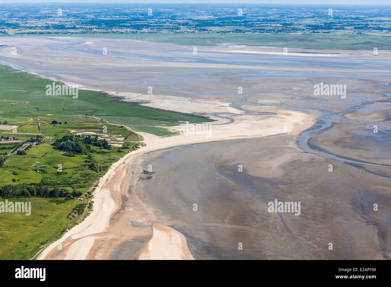 Genets hi-res stock photography and images - Alamy