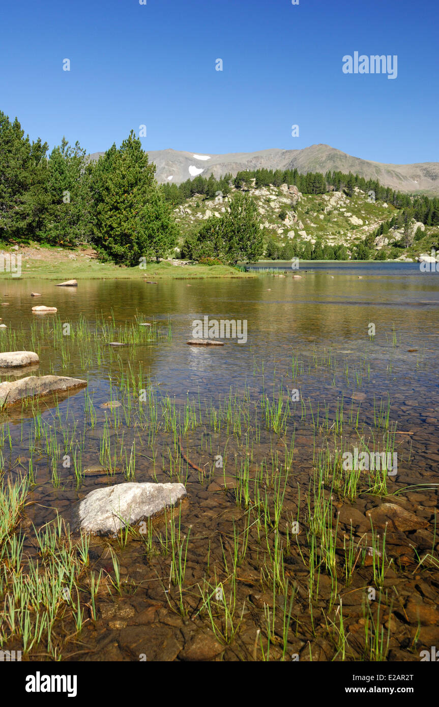Parc naturel regional des pyrenees catalanes hi-res stock photography ...