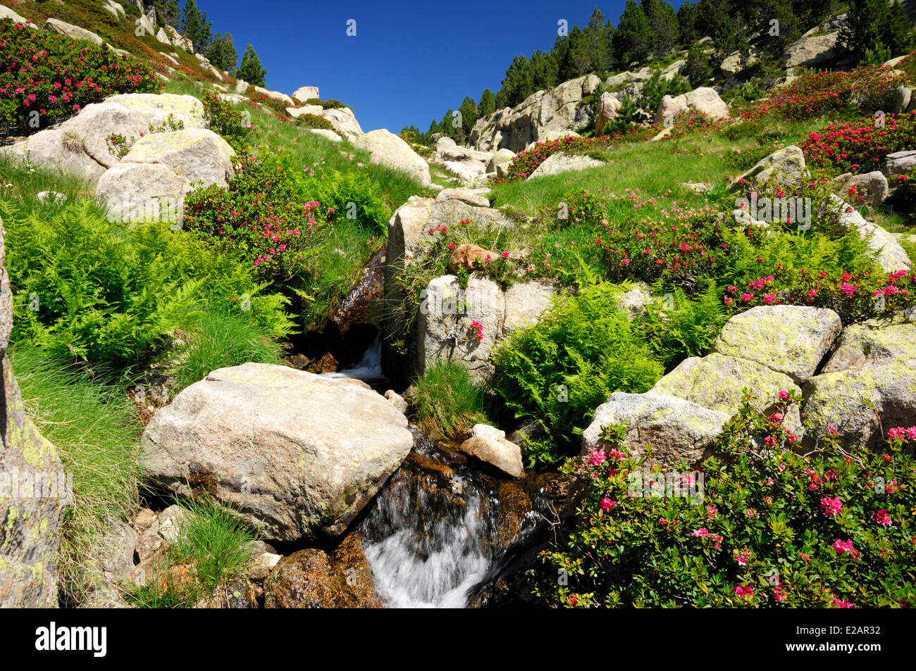 France, Pyrenees Orientales, Parc Naturel Regional des Pyrenees ...