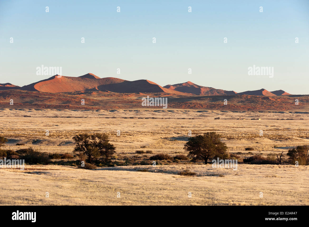 Namibia, Hardap region, Namib Desert, National Park of Namib Naukluft ...