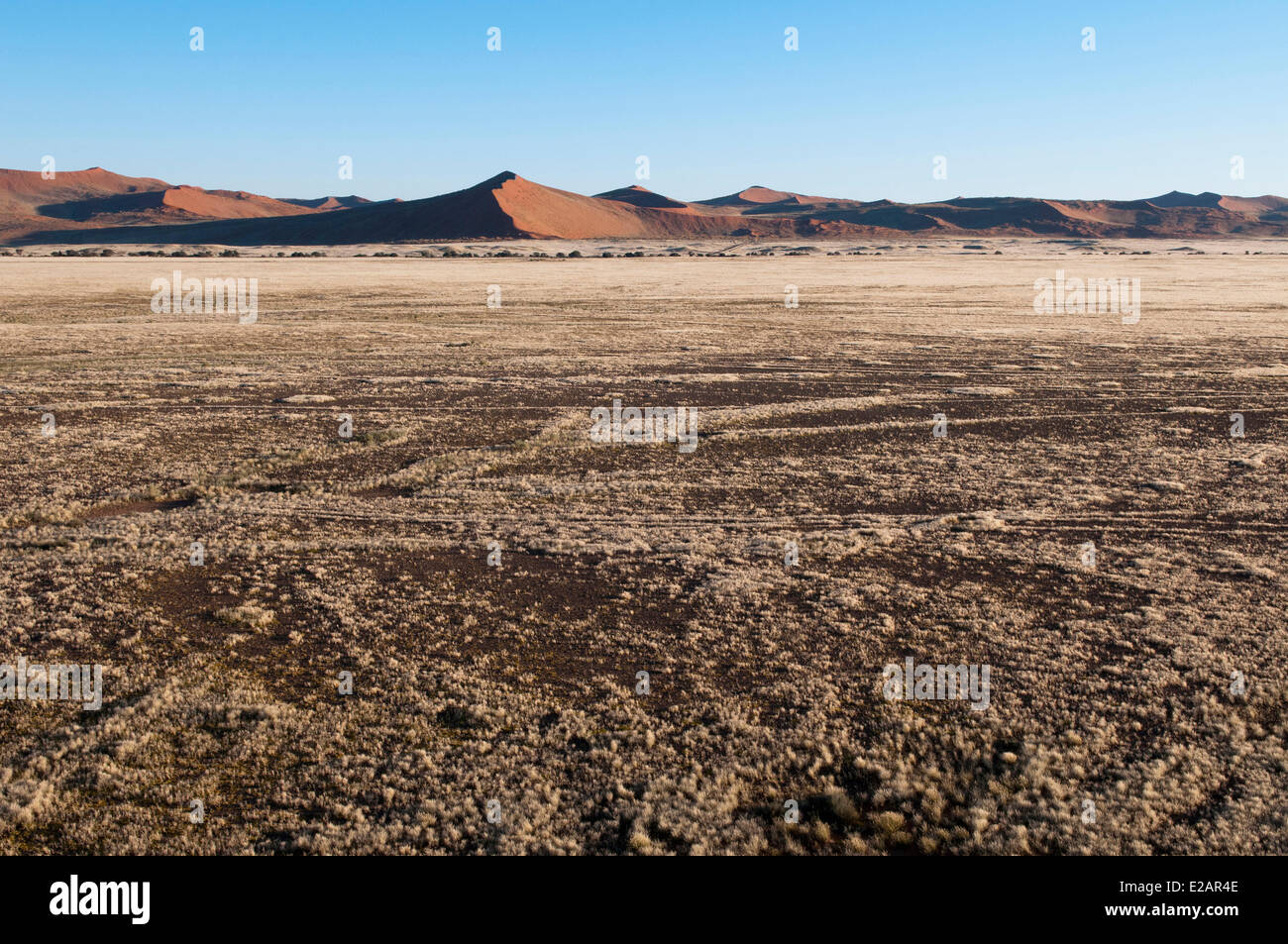Namibia, Hardap region, Namib Desert, National Park of Namib Naukluft ...