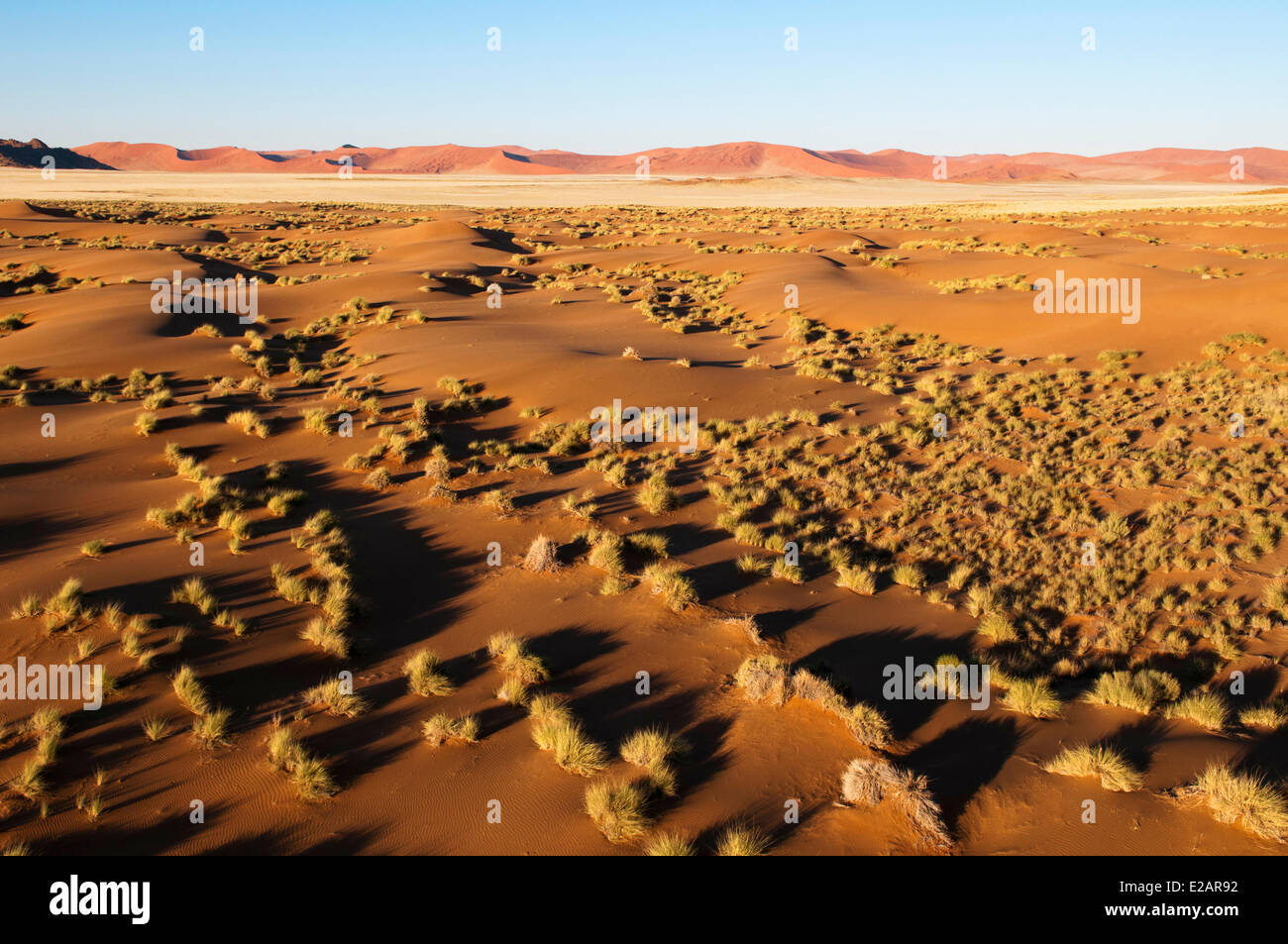 Namibia, Hardap region, Namib Desert, National Park of Namib Naukluft ...