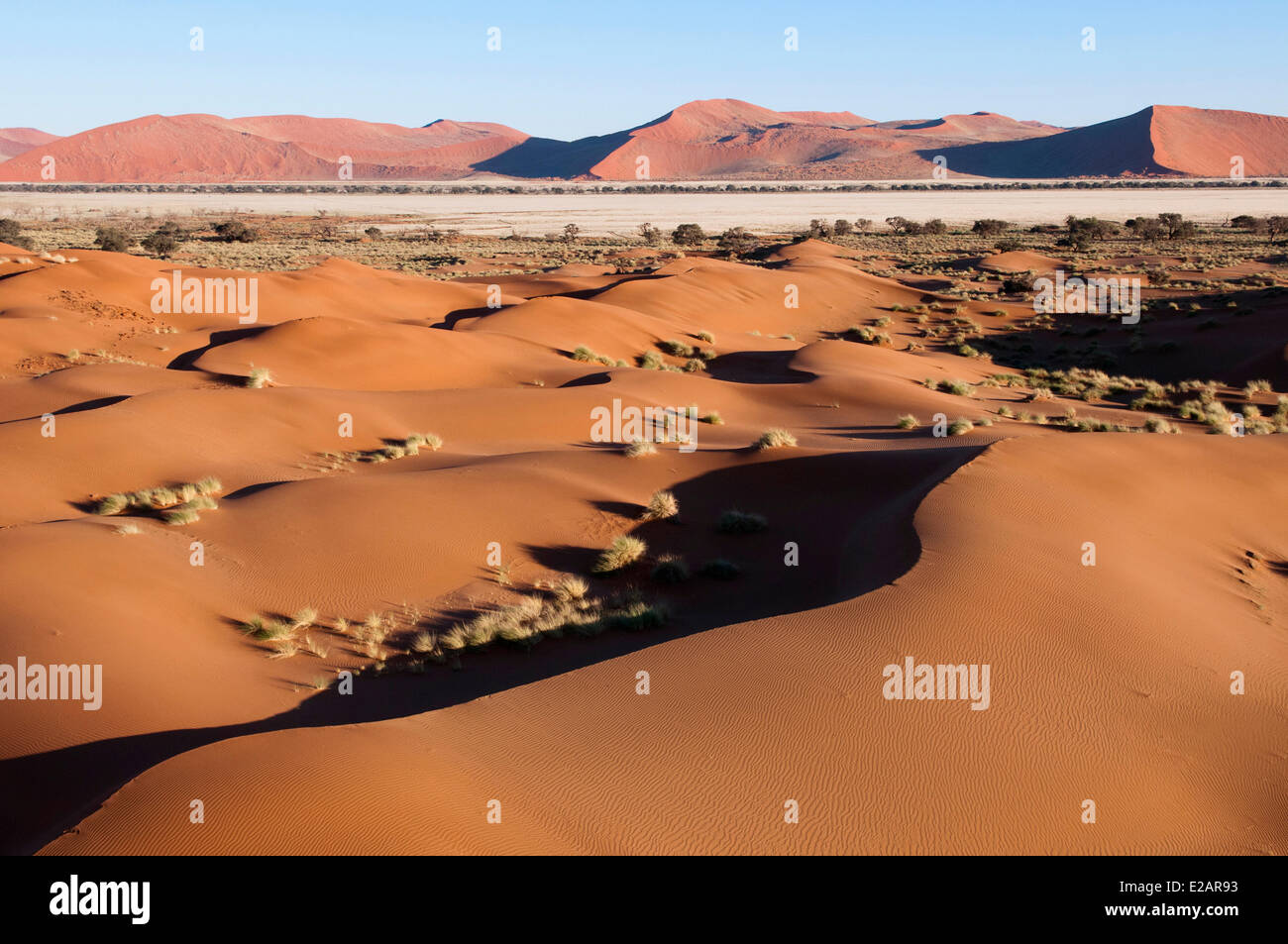Namibia, Hardap region, Namib Desert, National Park of Namib Naukluft ...