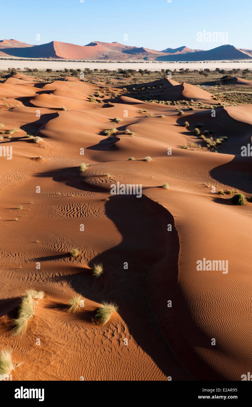 Namibia, Hardap region, Namib Desert, National Park of Namib Naukluft ...