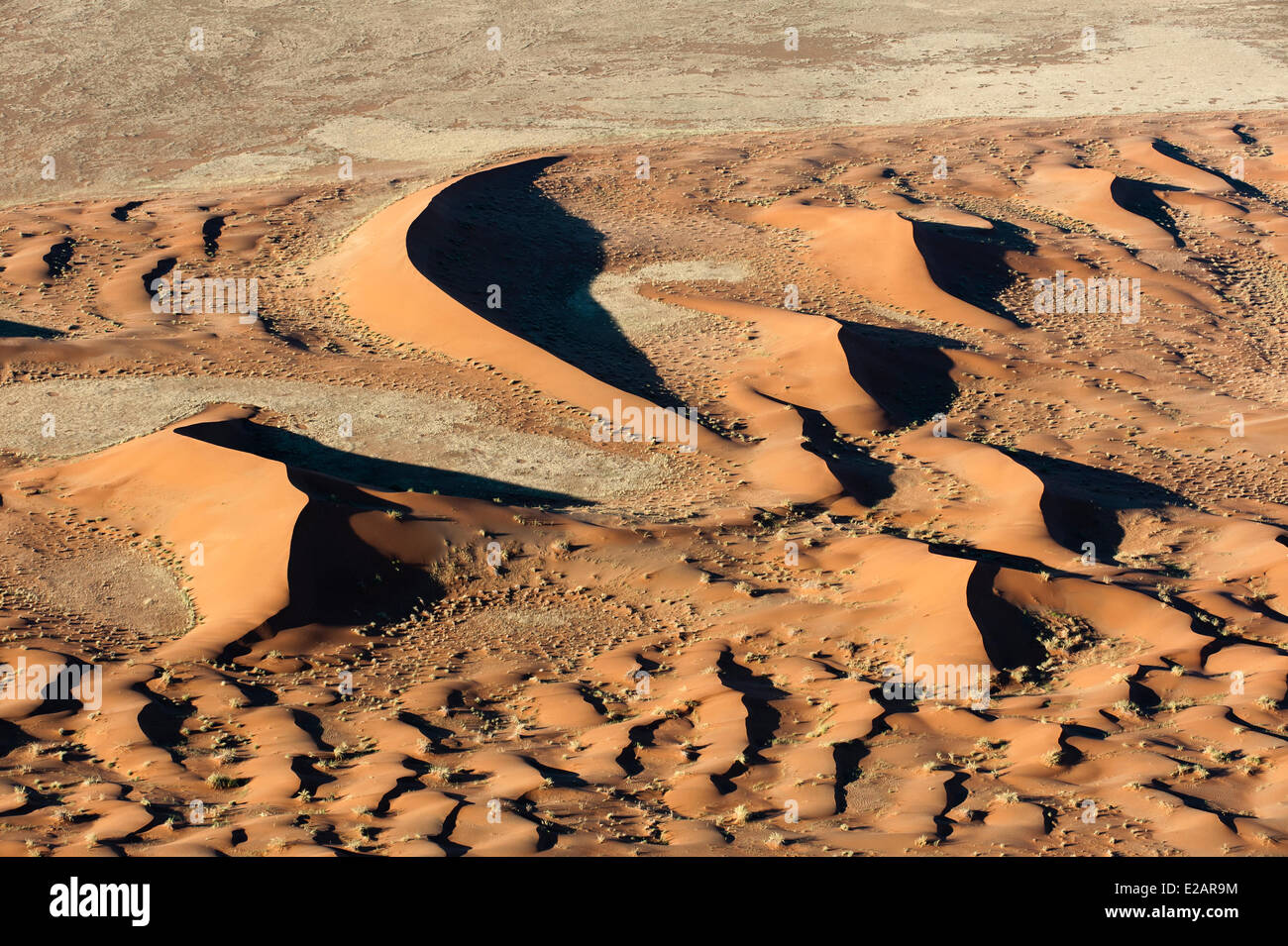 Namibia, Hardap region, Namib Desert, National Park of Namib Naukluft ...