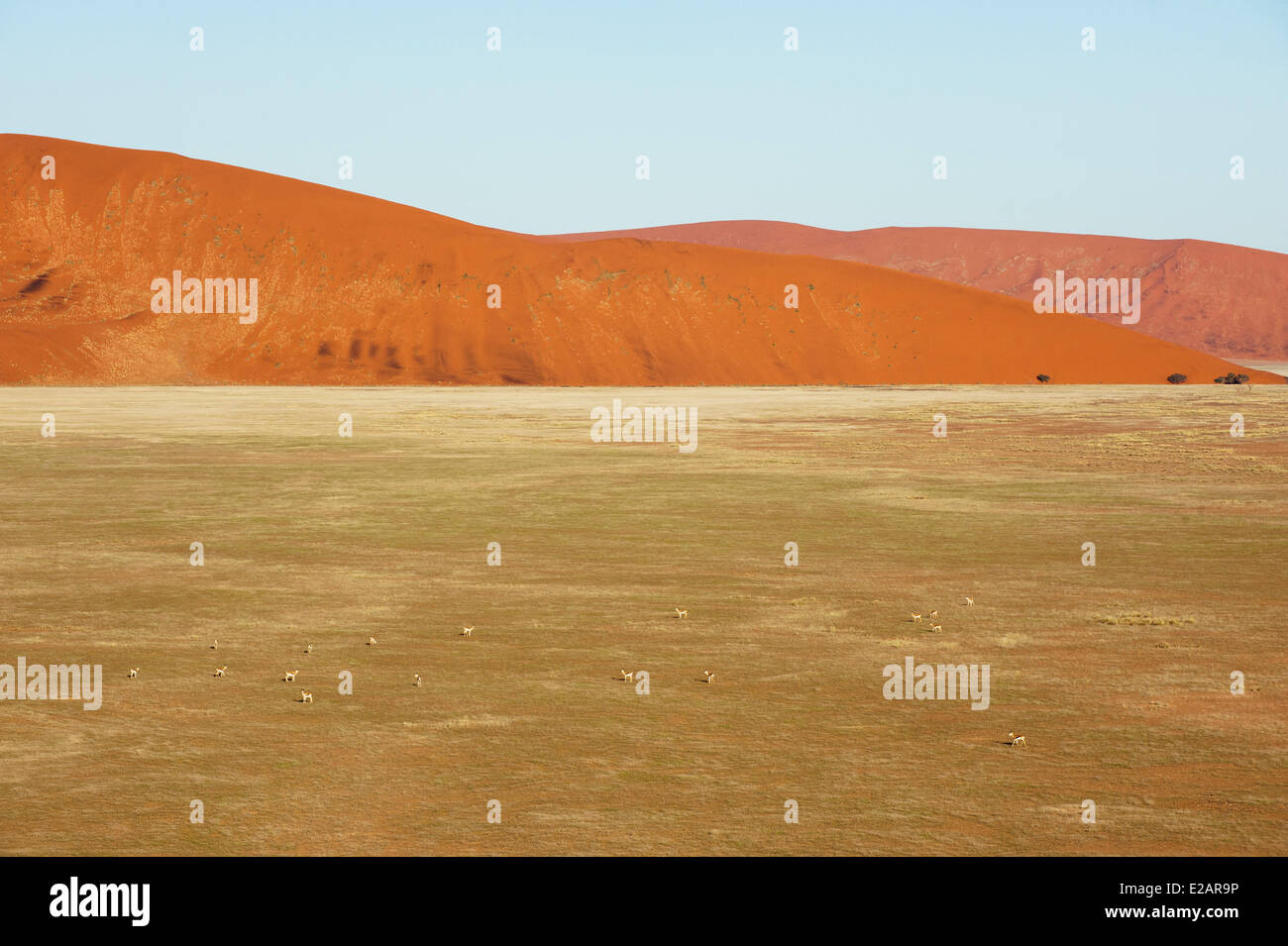 Namibia, Hardap region, Namib Desert, National Park of Namib Naukluft ...