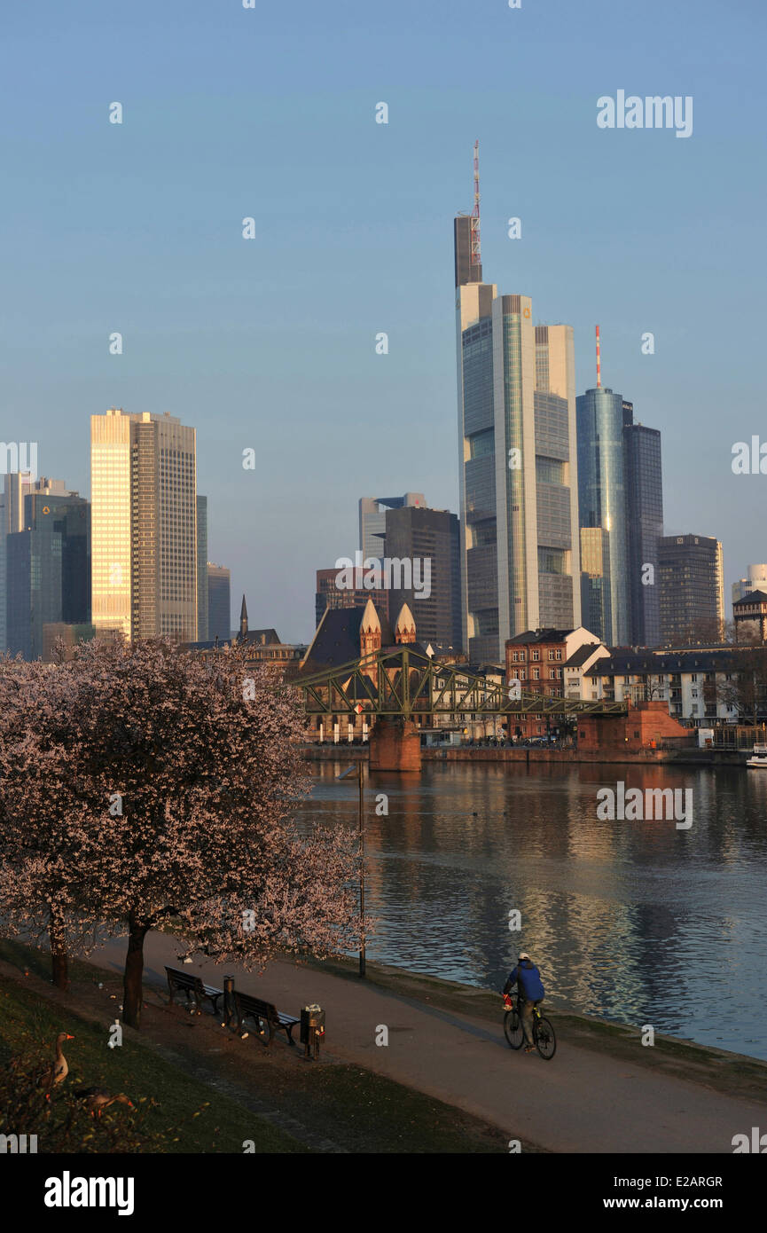 Germany, Hesse, Frankfurt am Main, riverbanks of Main river and skyline ...