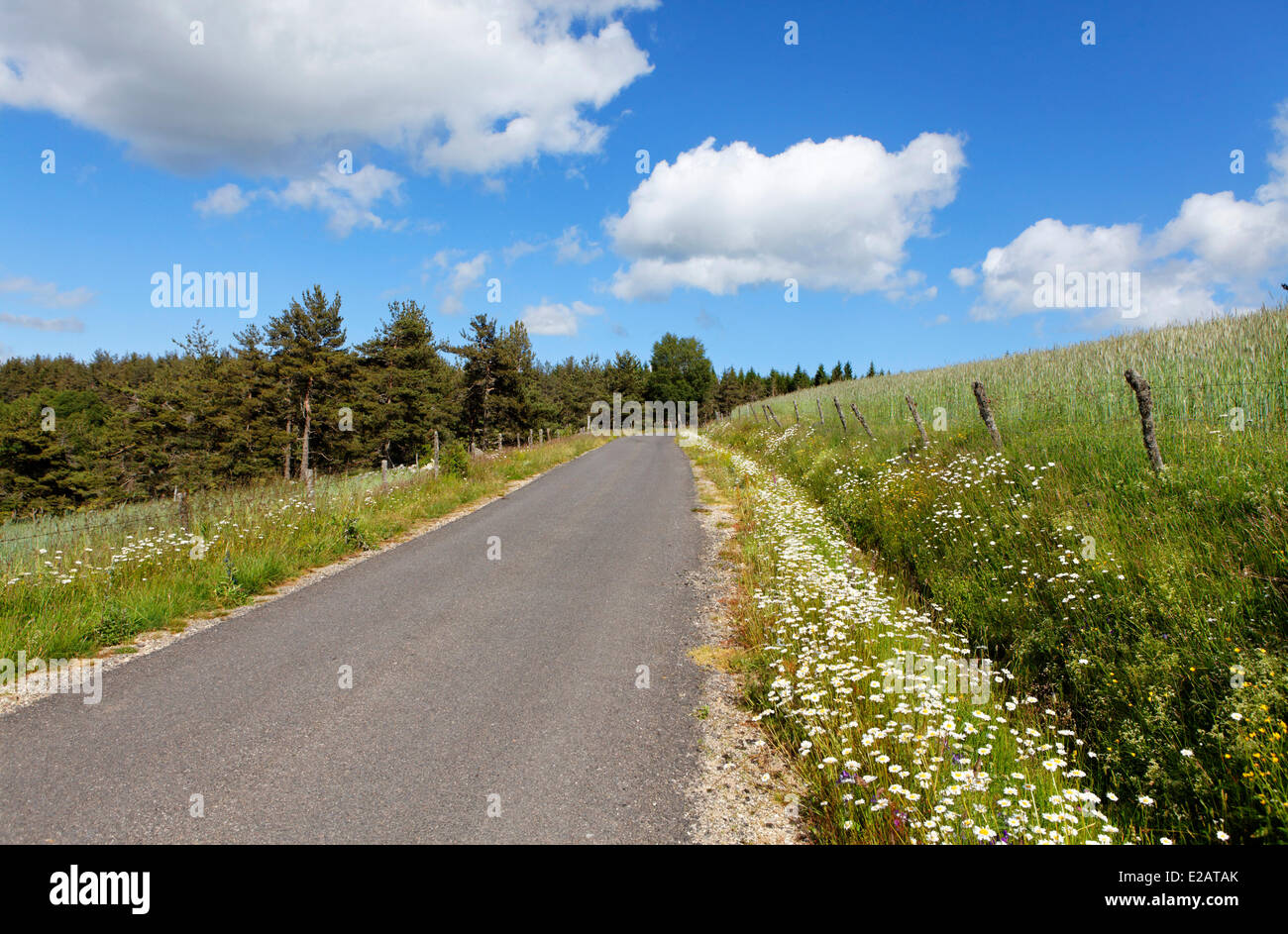 France, Lozere, country road landscape Gevaudan between Grandrieu and ...