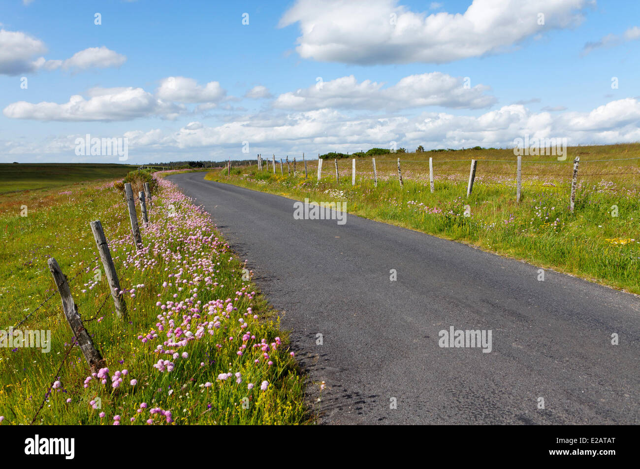 France, Lozere, country road landscape Gevaudan between Grandrieu and ...
