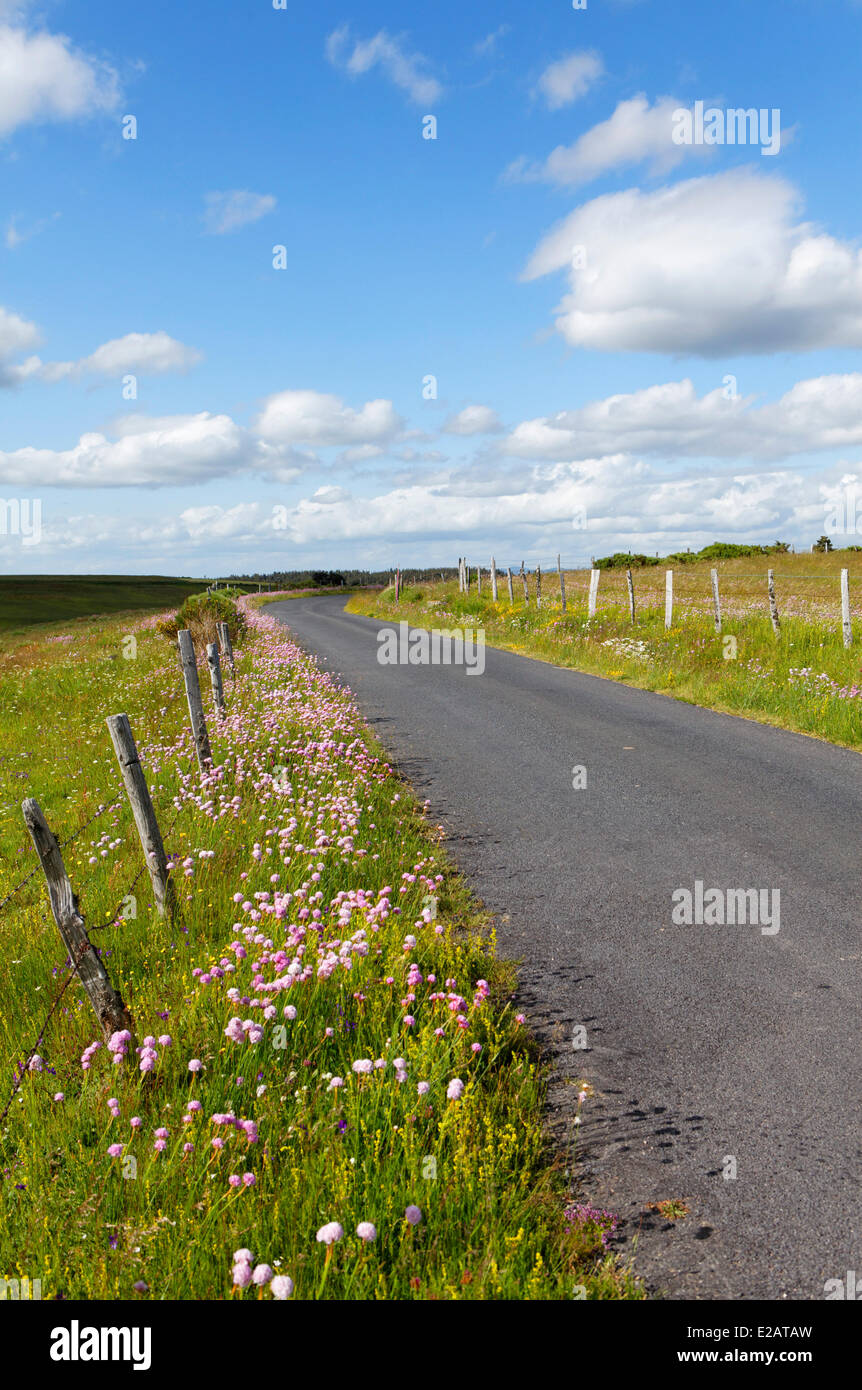 France, Lozere, country road landscape Gevaudan between Grandrieu and ...