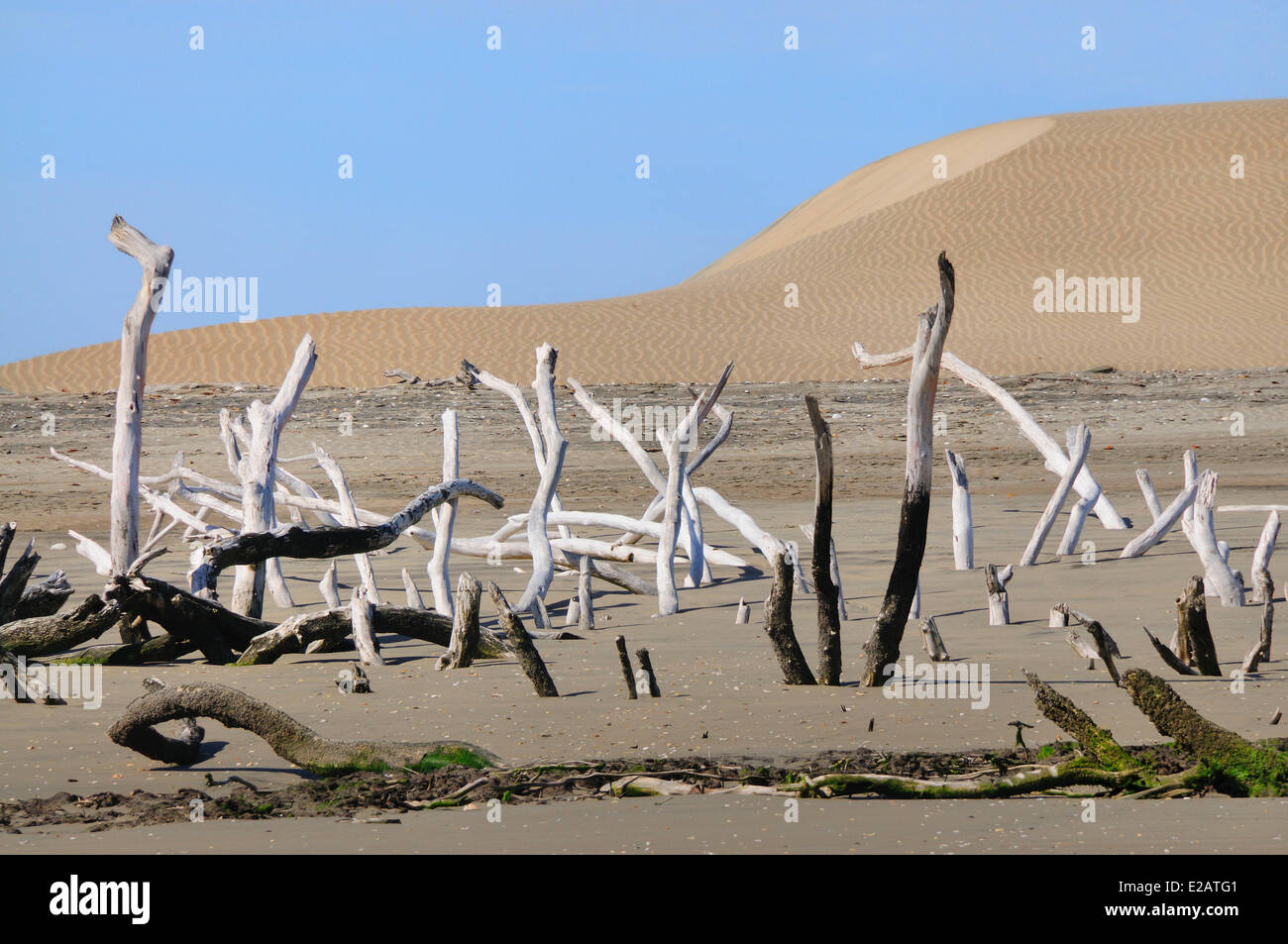 Mexico, Baja California Sur State, Bahia Magdalena, Puerto Lopez Mateos ...