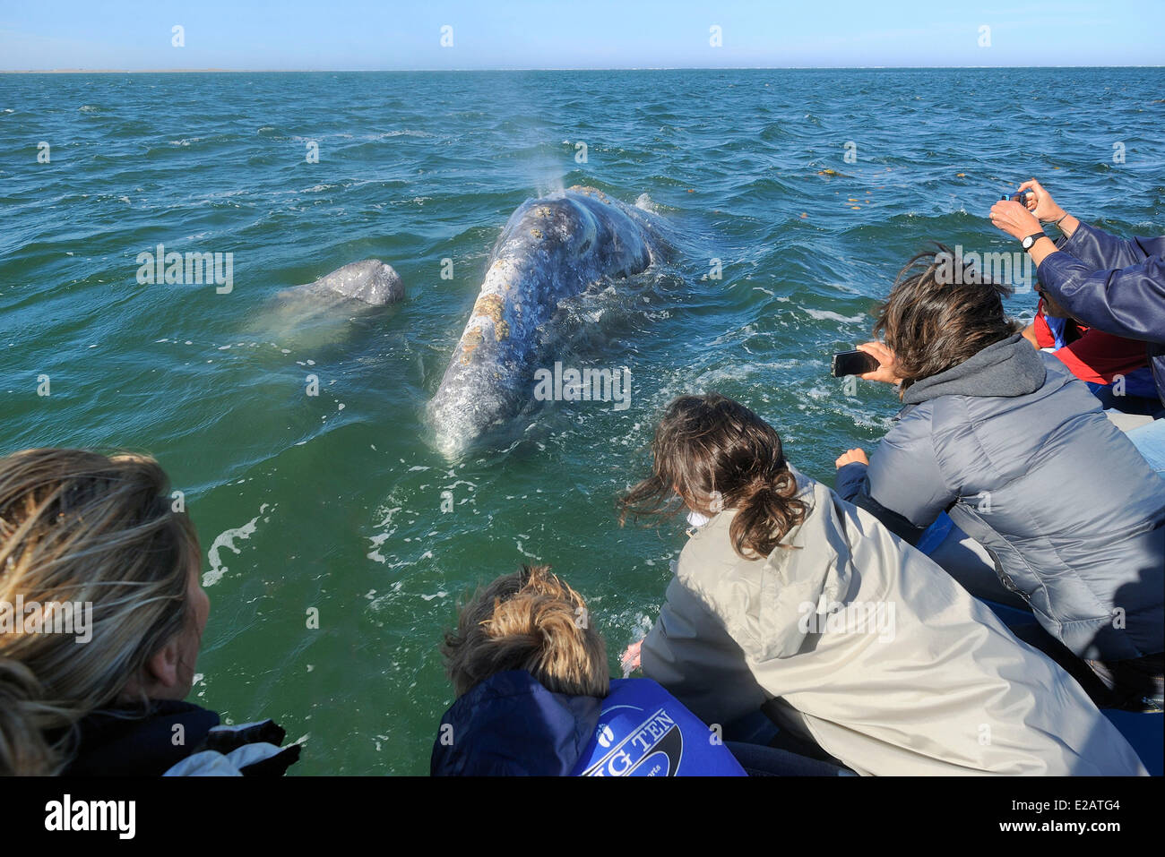 Puerto lopez mateos hi-res stock photography and images - Alamy