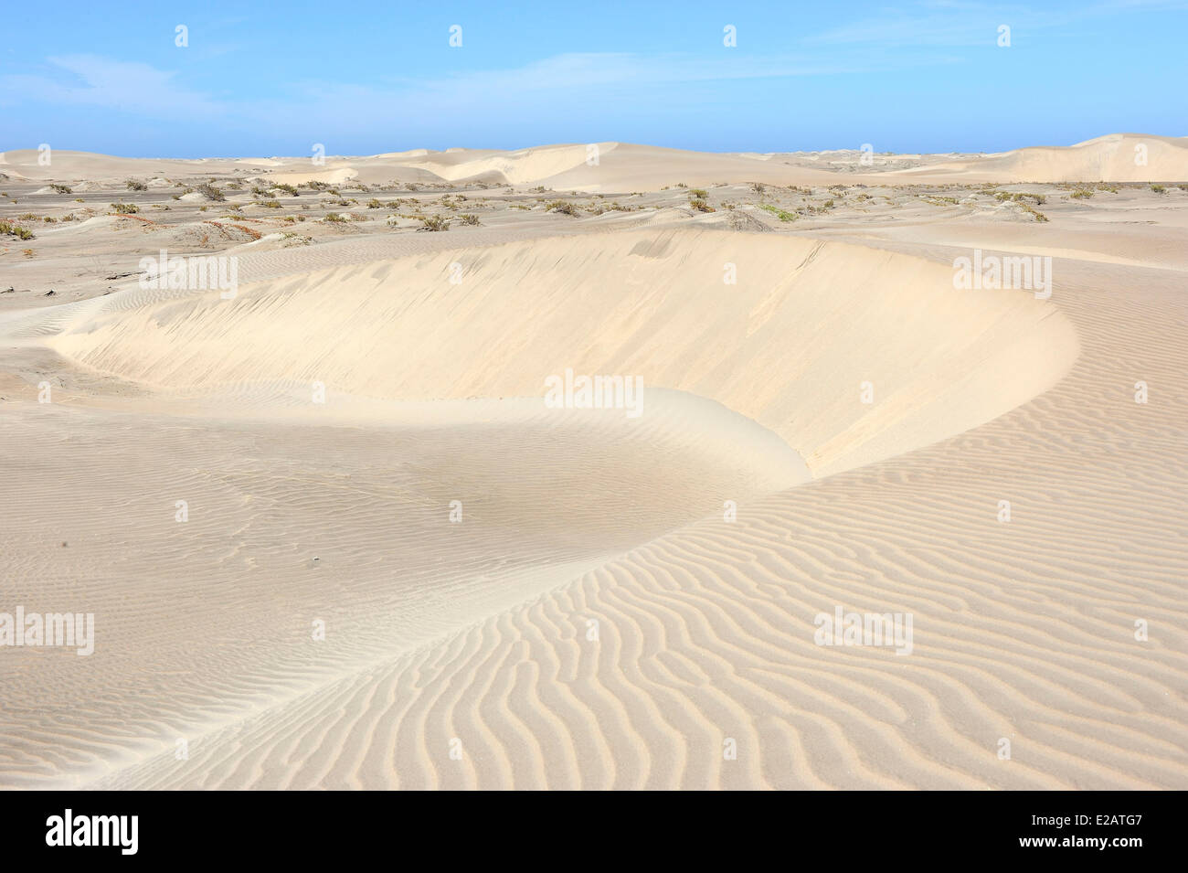 Mexico, Baja California Sur State, Bahia Magdalena, Puerto Lopez Mateos ...