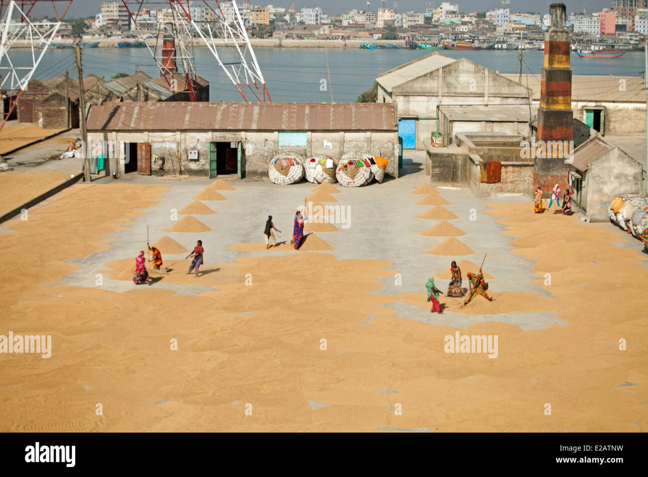women working in a rice processing factory Stock Photo - Alamy