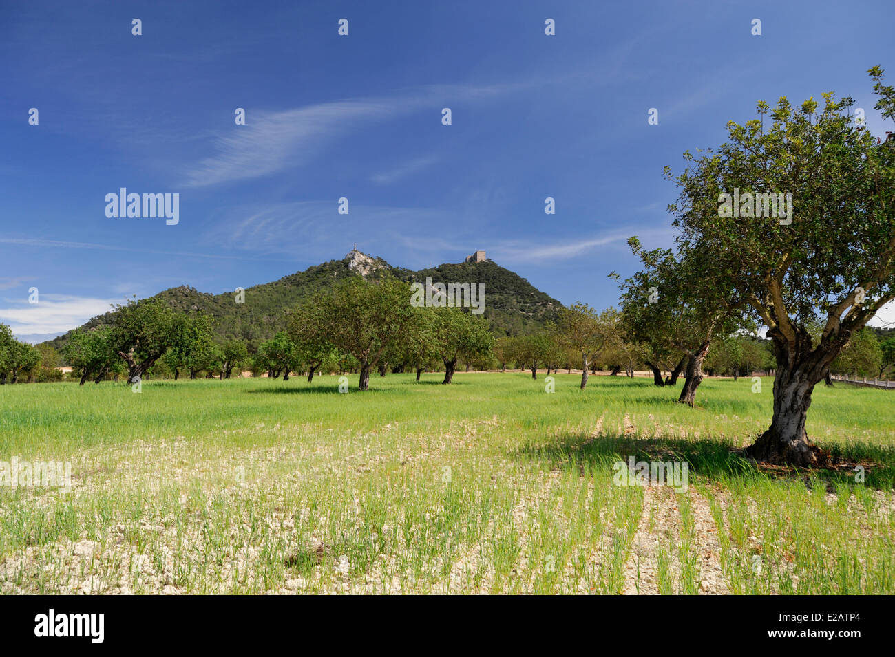 Plain in spain hi-res stock photography and images - Alamy