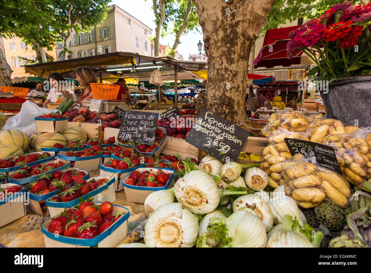Market Days In Provence