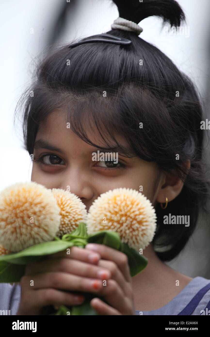 girl with kadam flowers The Kadam flower, Anthocephalus cadamba, bloom ...