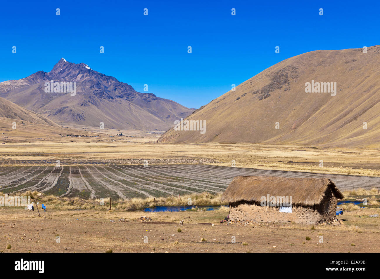 Peru, Puno Province, landscape of the Altiplano, La Raya Pass (4338m ...