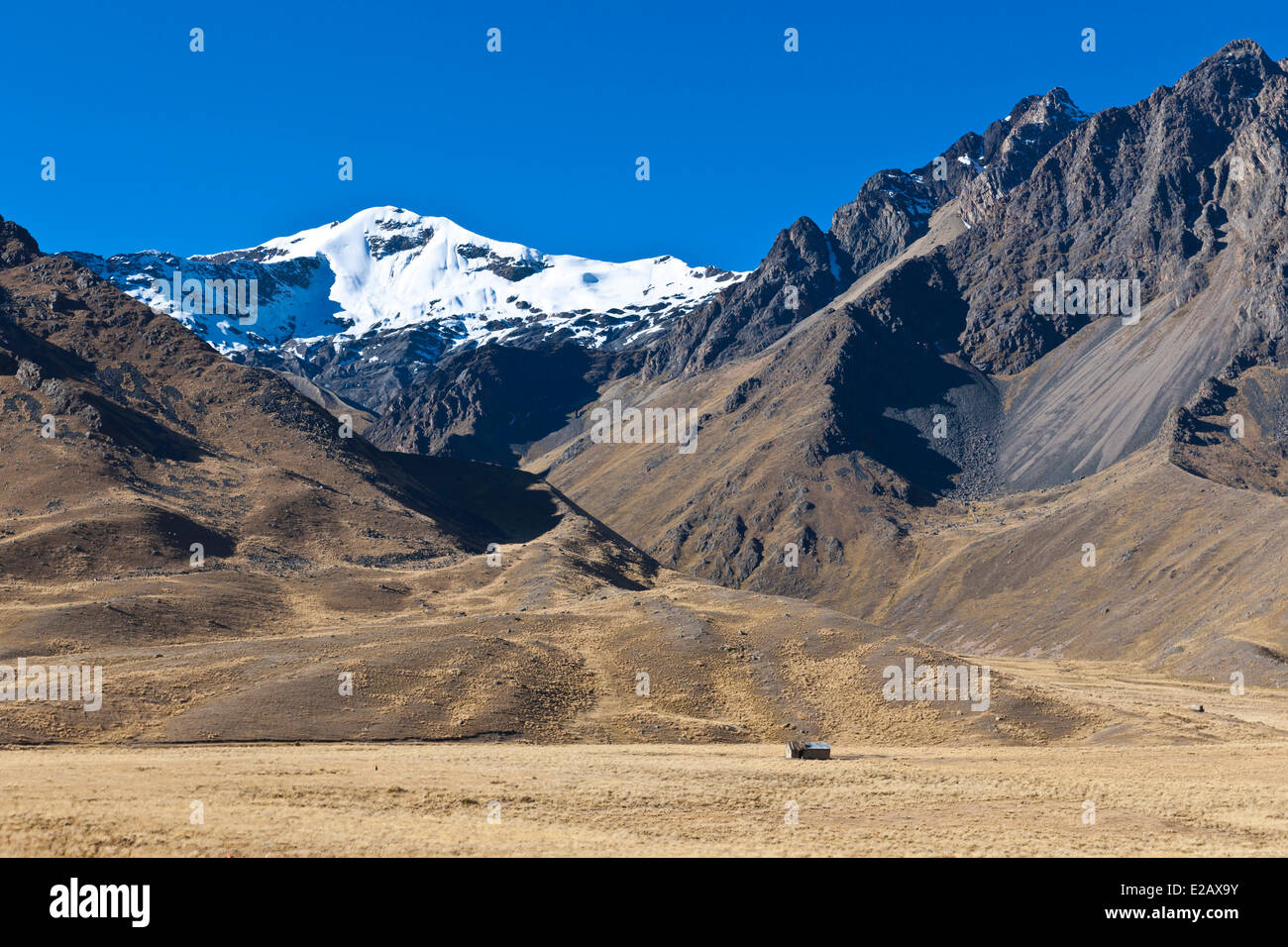 Peru, Puno Province, landscape of the Altiplano, La Raya Pass (4338m ...
