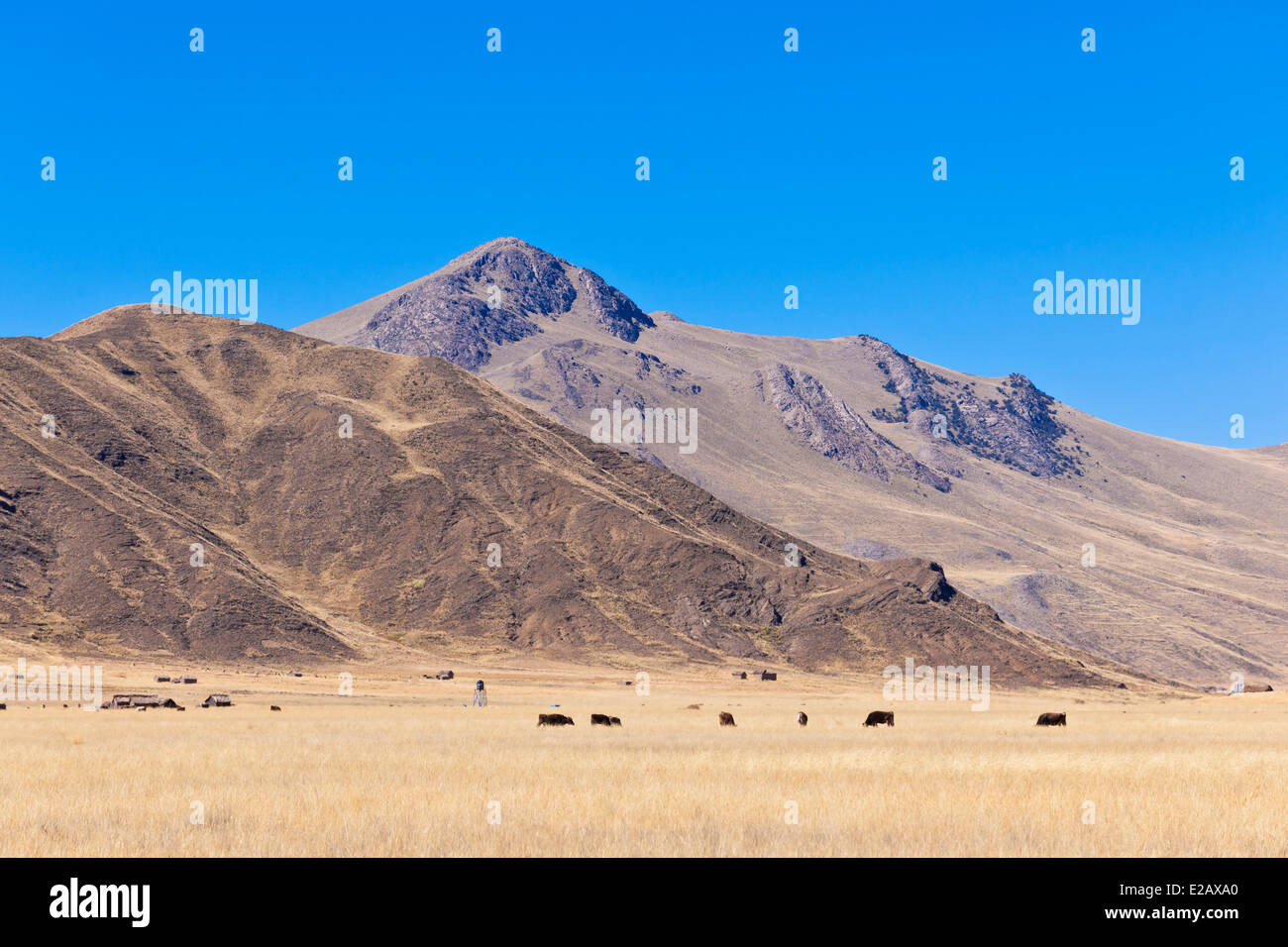 Landscape puno hi-res stock photography and images - Alamy