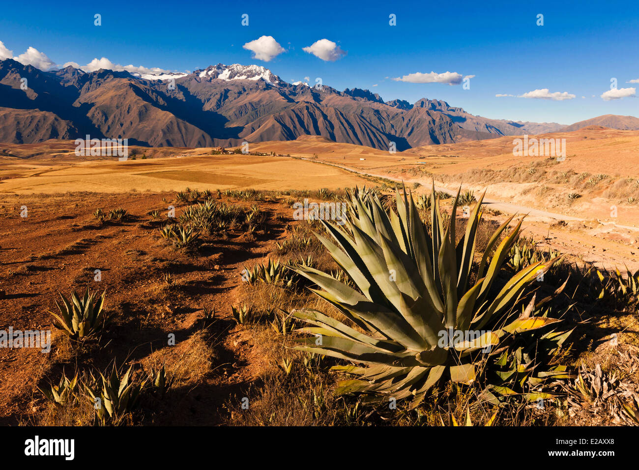 Andes landscape hi-res stock photography and images - Alamy