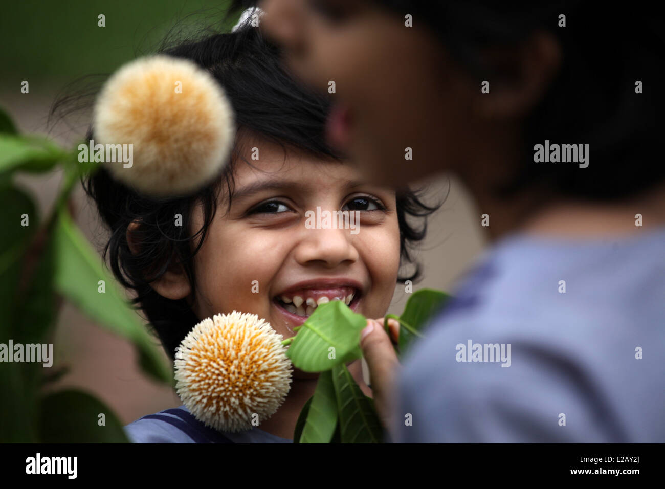 two girl with kadam flowers The Kadam flower, Anthocephalus cadamba ...