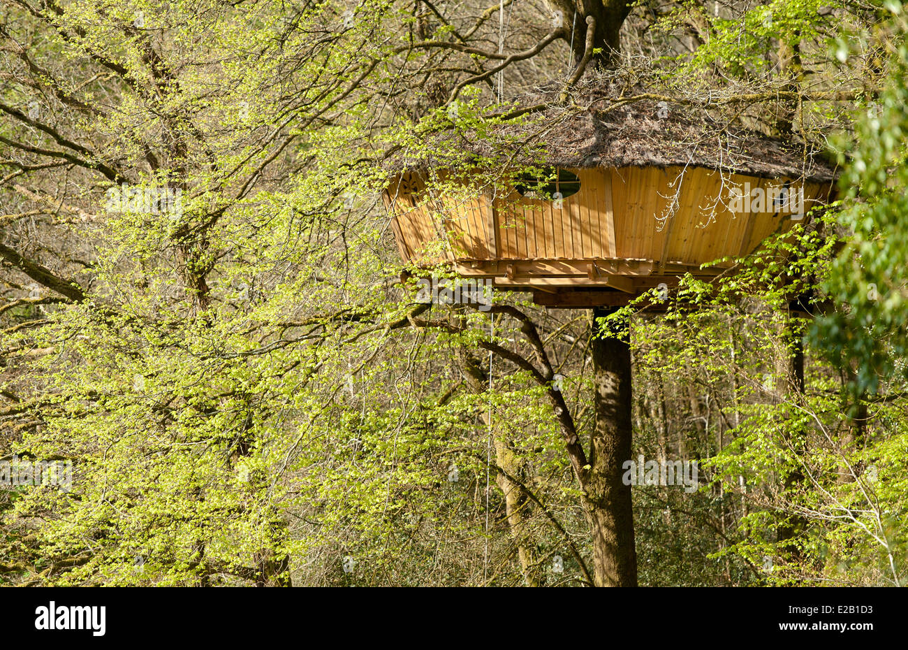 Quistinic hi-res stock photography and images - Alamy