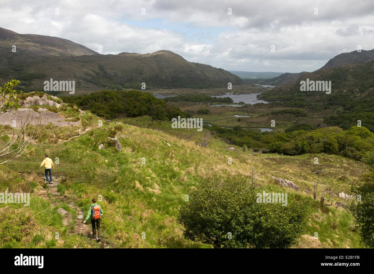 Ireland, County Kerry, Killarney National Park, hiking at Ladies View ...