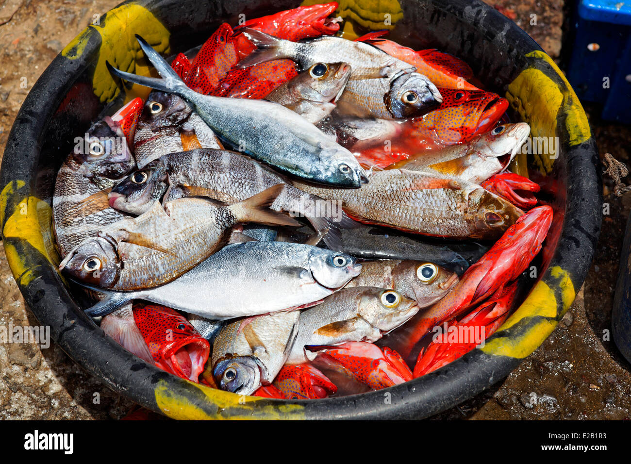 Sal island cape verde fishing hi-res stock photography and images - Alamy