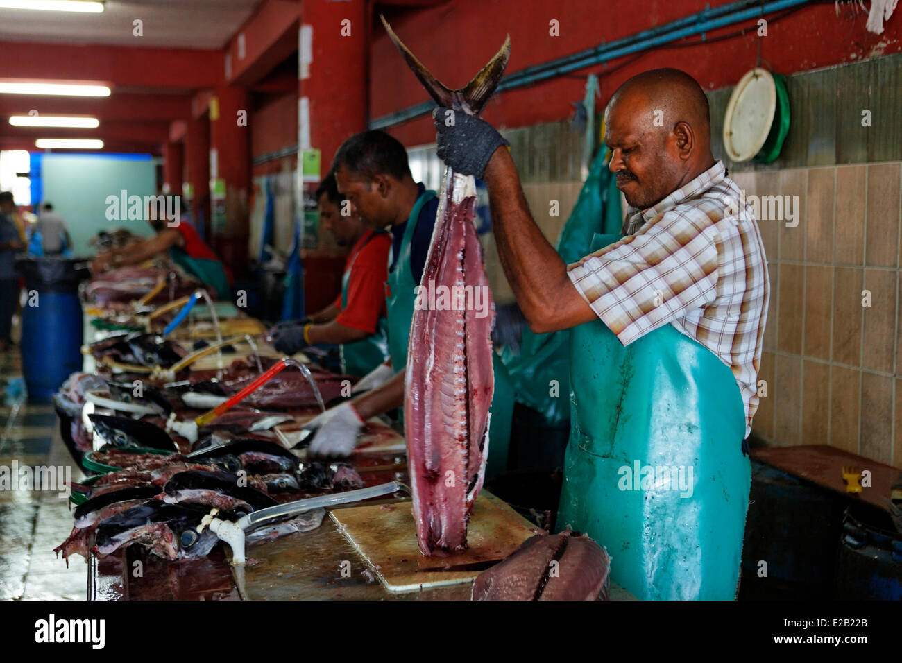 Maldives, North Male atoll, Male island, Male, fish market Stock Photo ...