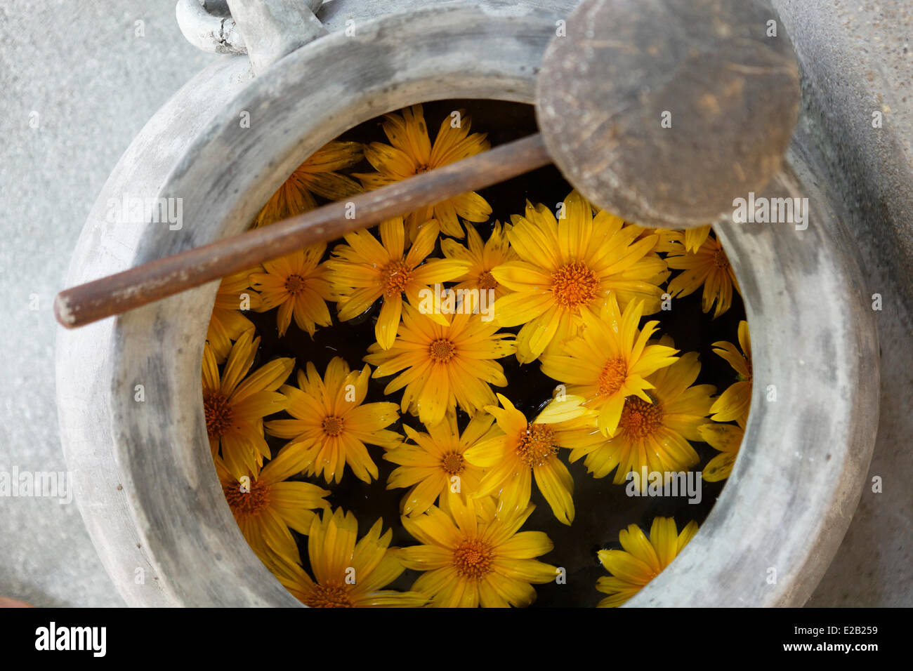 Maldives, Atoll Haa Aliff, J Resort Alidhoo hotel, jar and ladle to ...