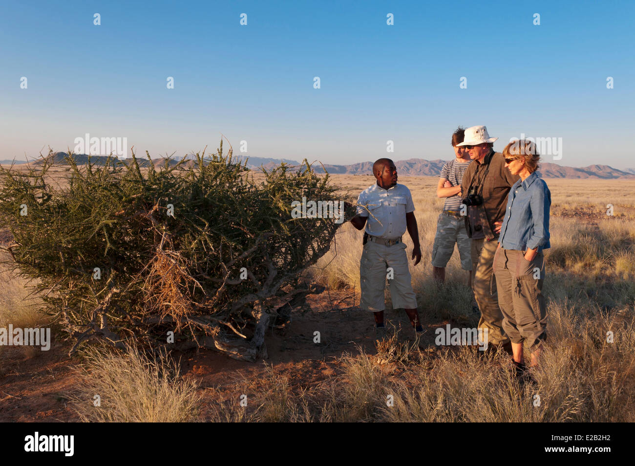 Namibia, Hardap Region, Namib Desert, Kulala Desert Lodge Stock Photo ...