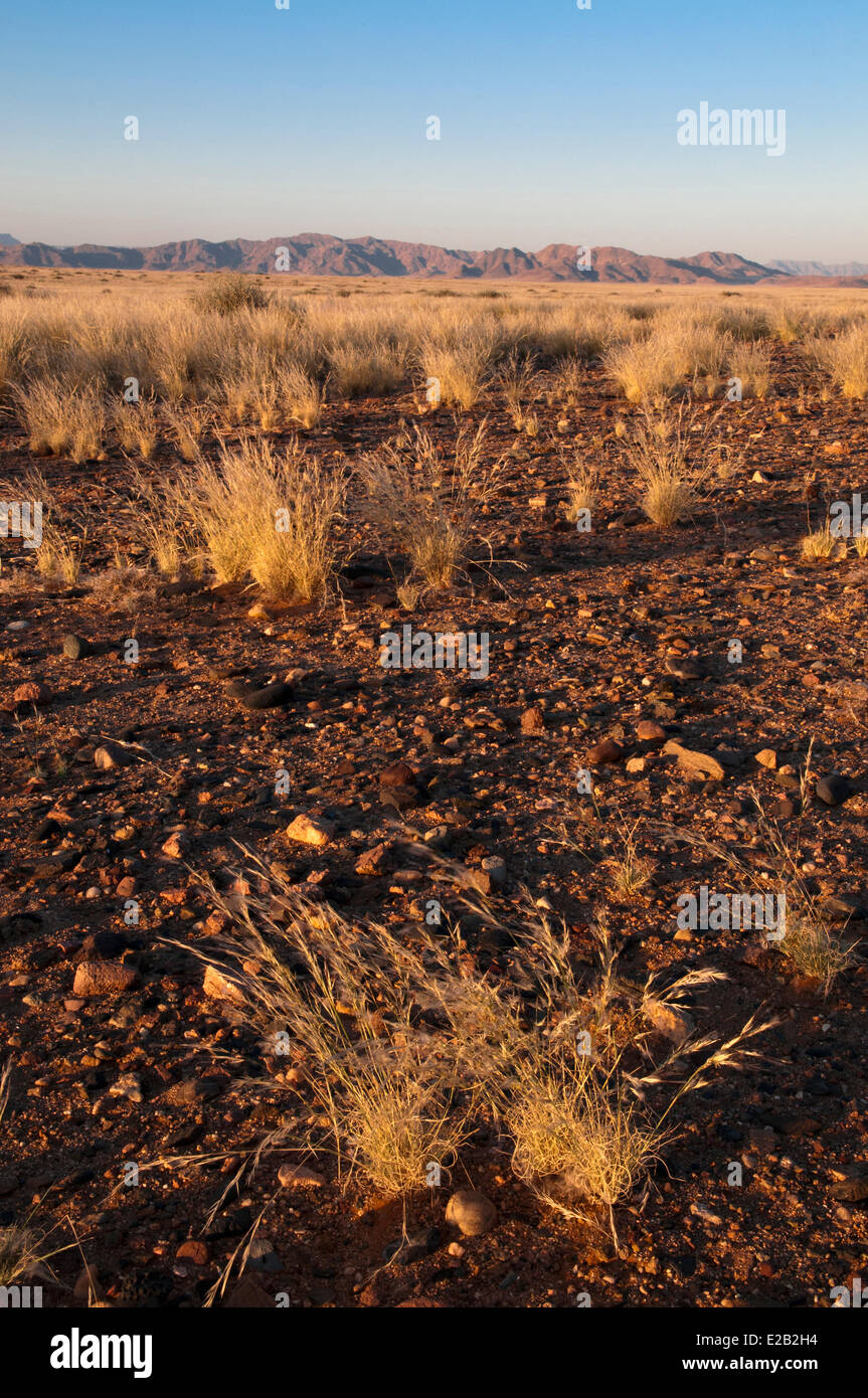 Namibia, Hardap Region, Namib Desert, Kulala Desert Lodge Stock Photo ...