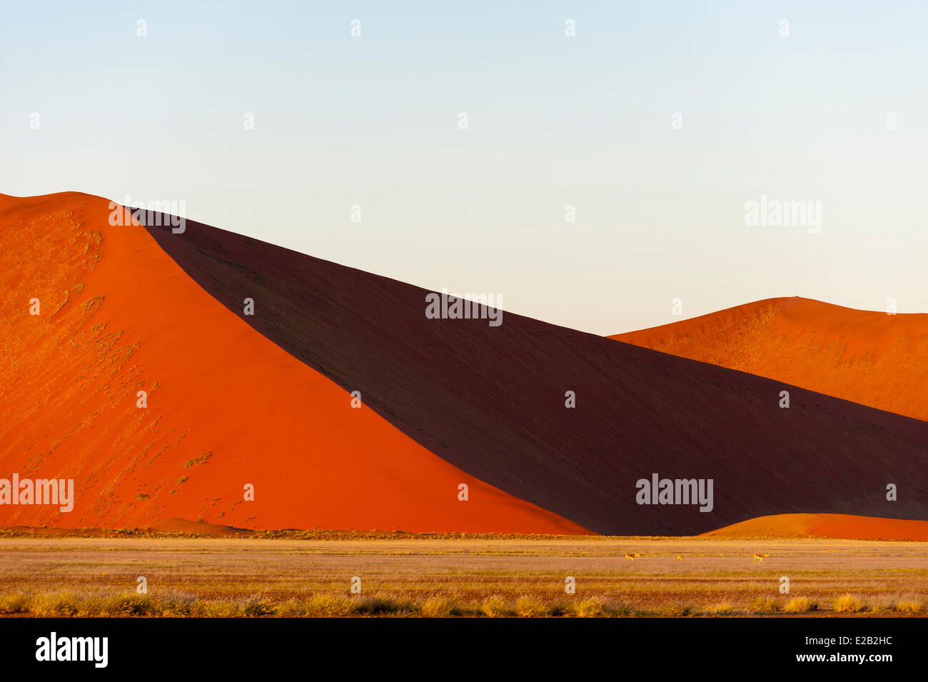 Namibia, Hardap Region, Namib Desert, Kulala Desert Lodge Stock Photo ...