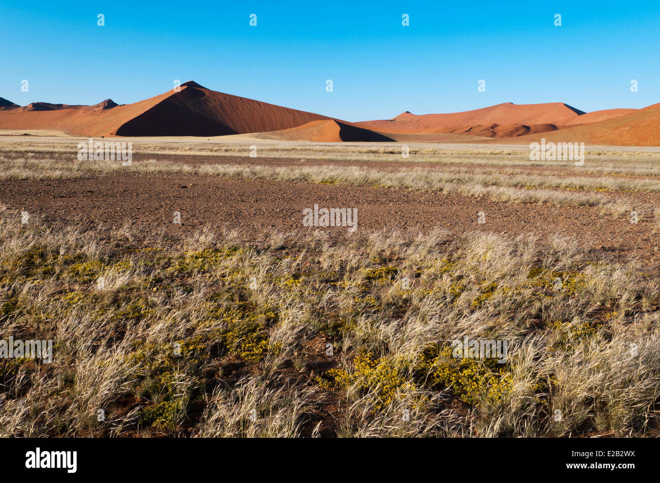 Namibia, Hardap Region, Namib Desert, Kulala Desert Lodge Stock Photo ...