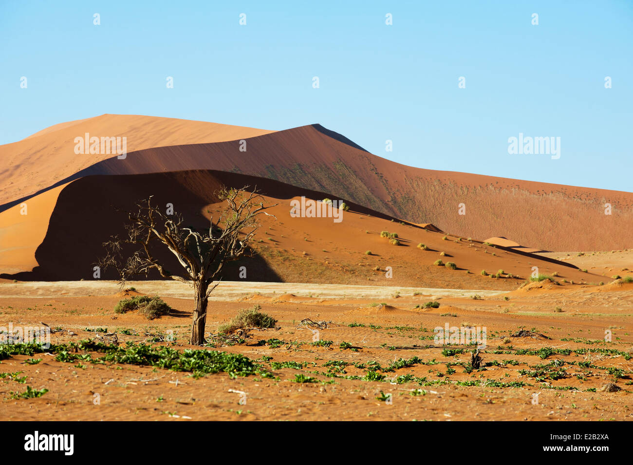 Namibia, Hardap Region, Namib Desert, Kulala Desert Lodge Stock Photo ...