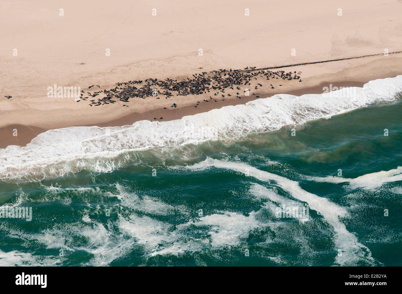 Skeleton Coast Namibia Stock Photos & Skeleton Coast Namibia Stock ...