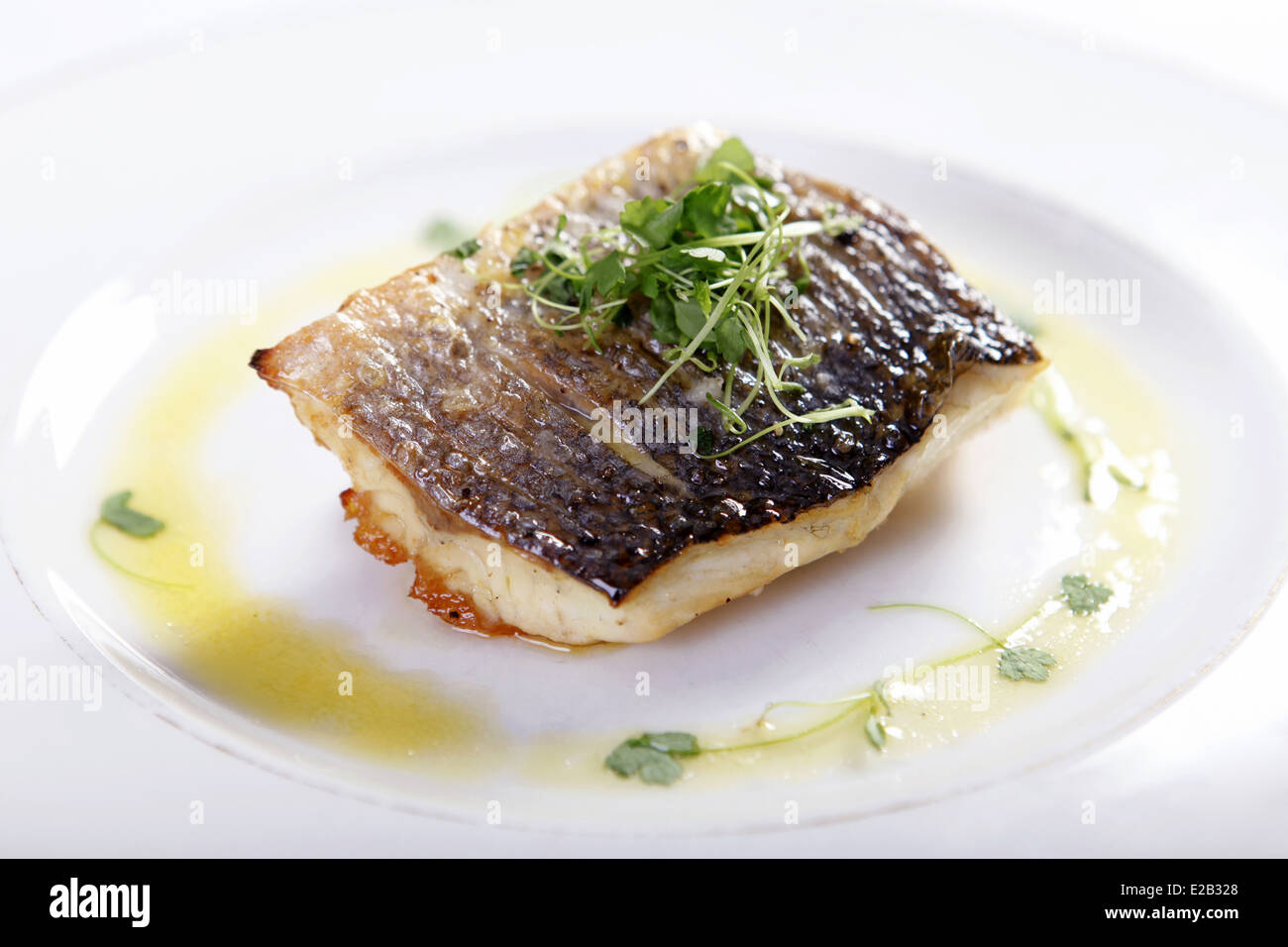 White sea bass hi-res stock photography and images - Alamy