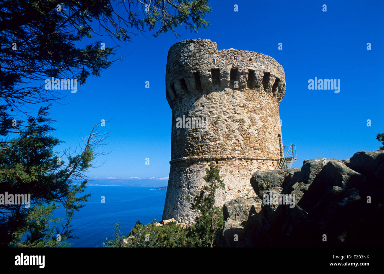 Coti chiavari hi-res stock photography and images - Alamy