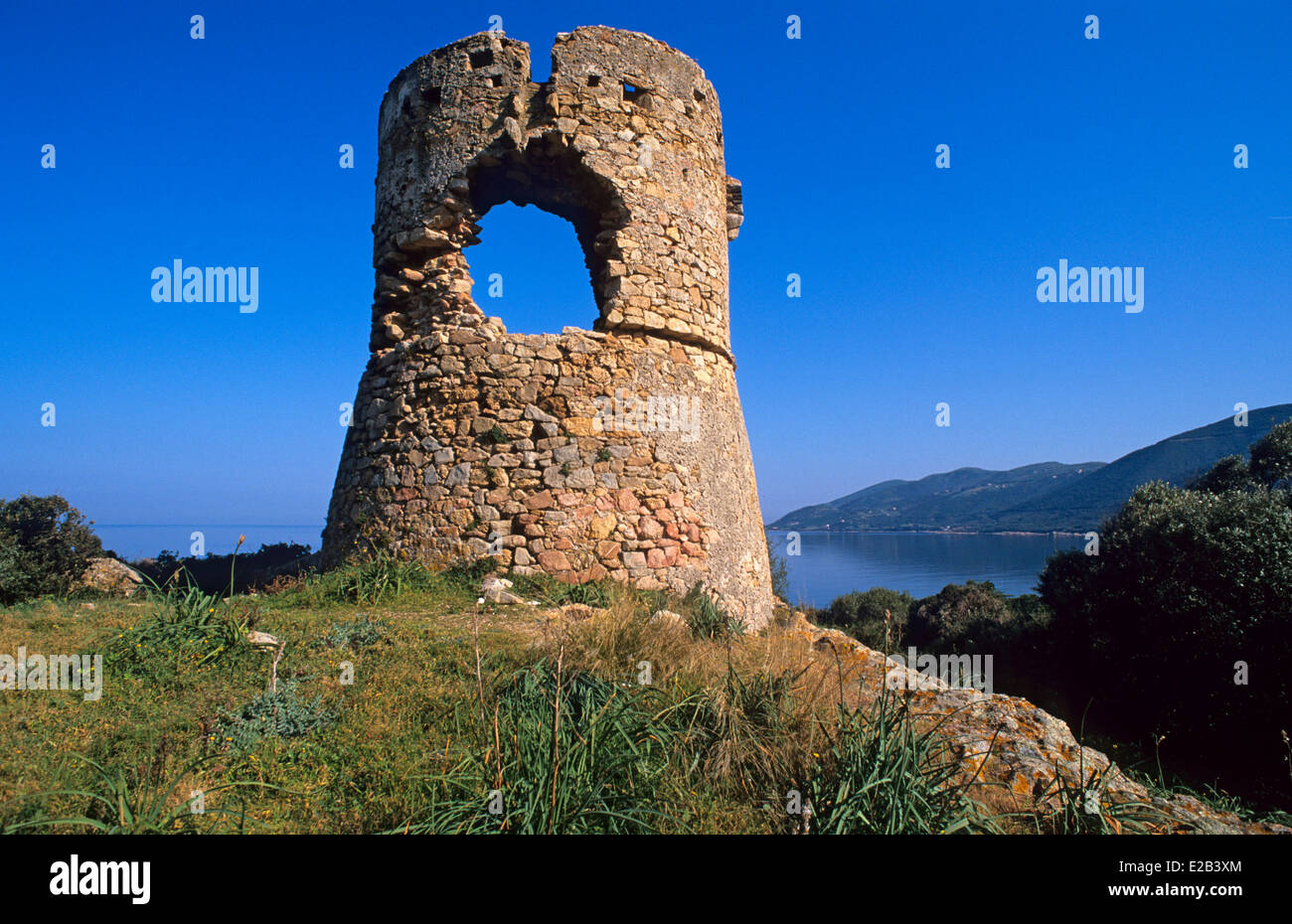 Ancone hi-res stock photography and images - Alamy