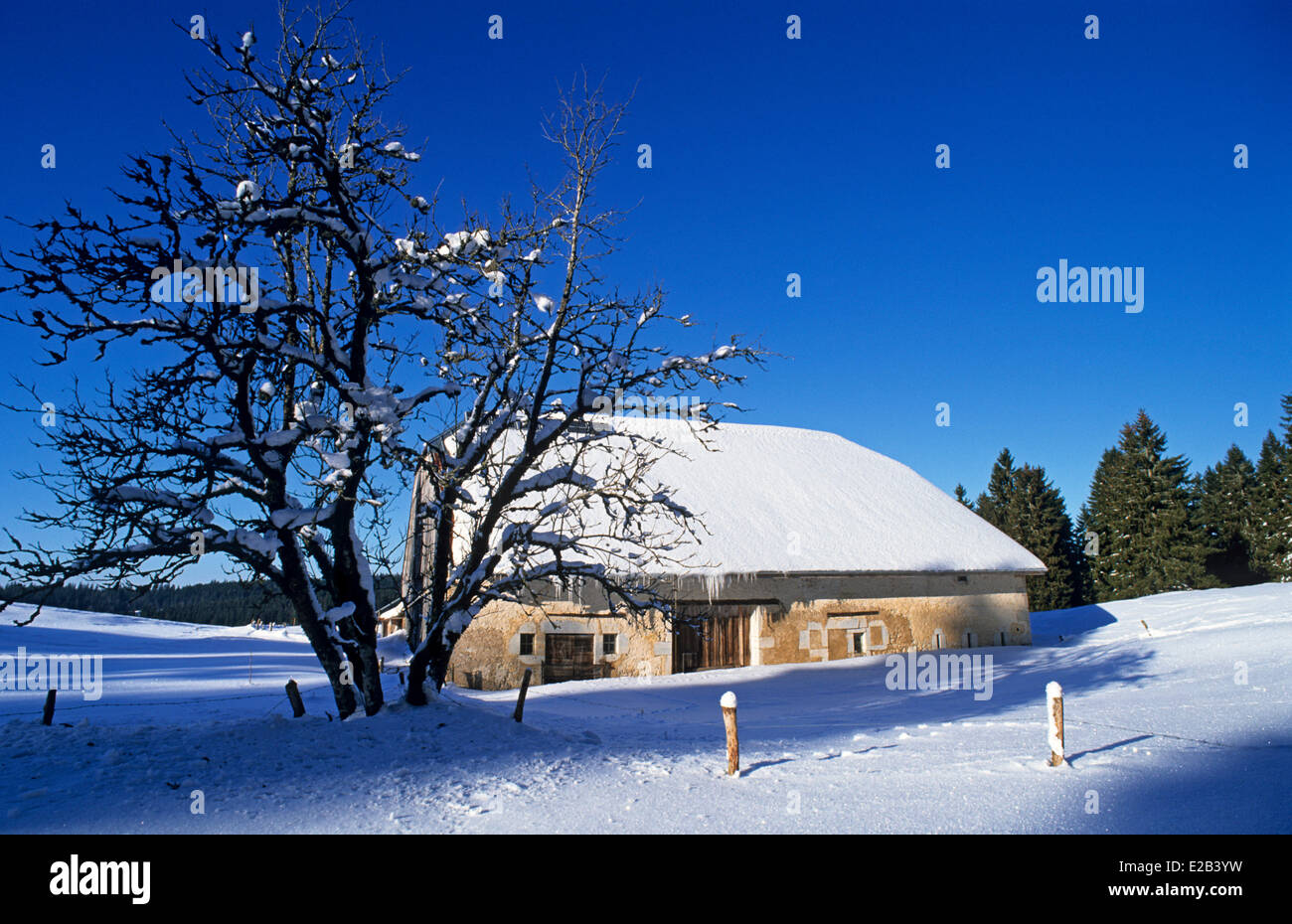 Parc du doubs hi-res stock photography and images - Alamy