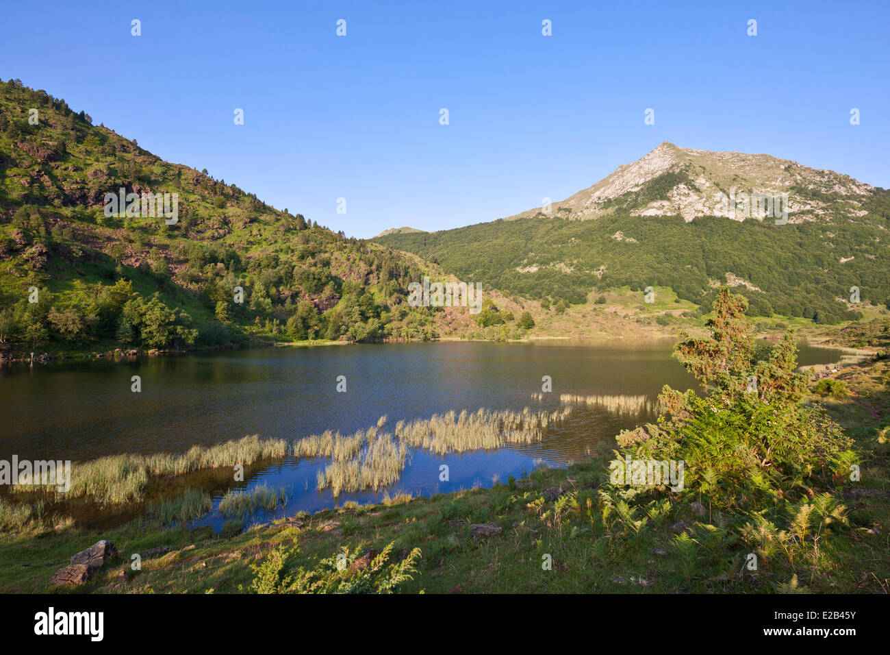 France, Ariege, Haut Couserans region, Parc Naturel Regional des ...