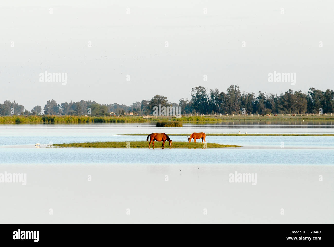 Spain, Andalucia, El Rocio, Donana National Park listed as World ...