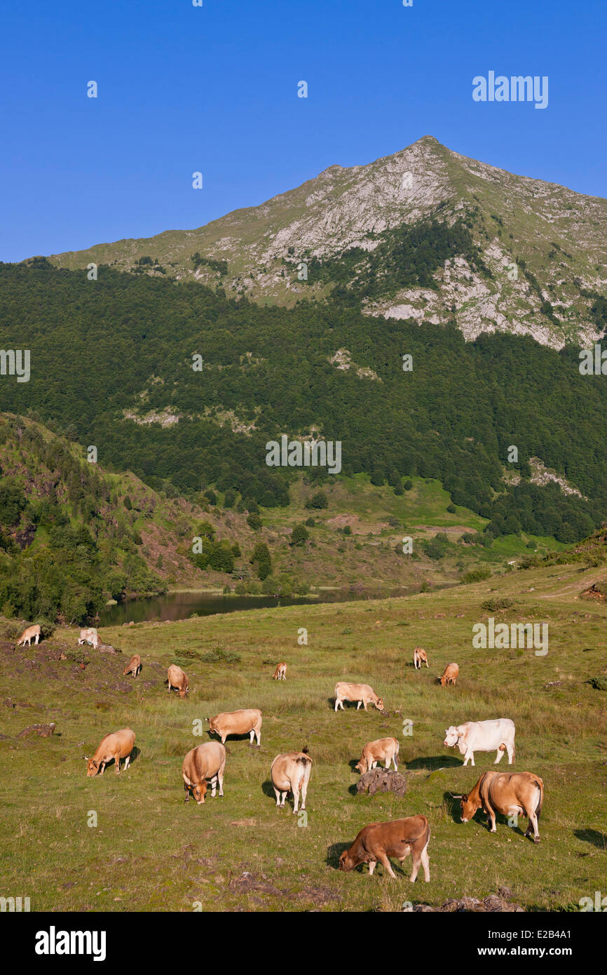 Parc naturel regional des pyrenees ariegeoises hi-res stock photography ...