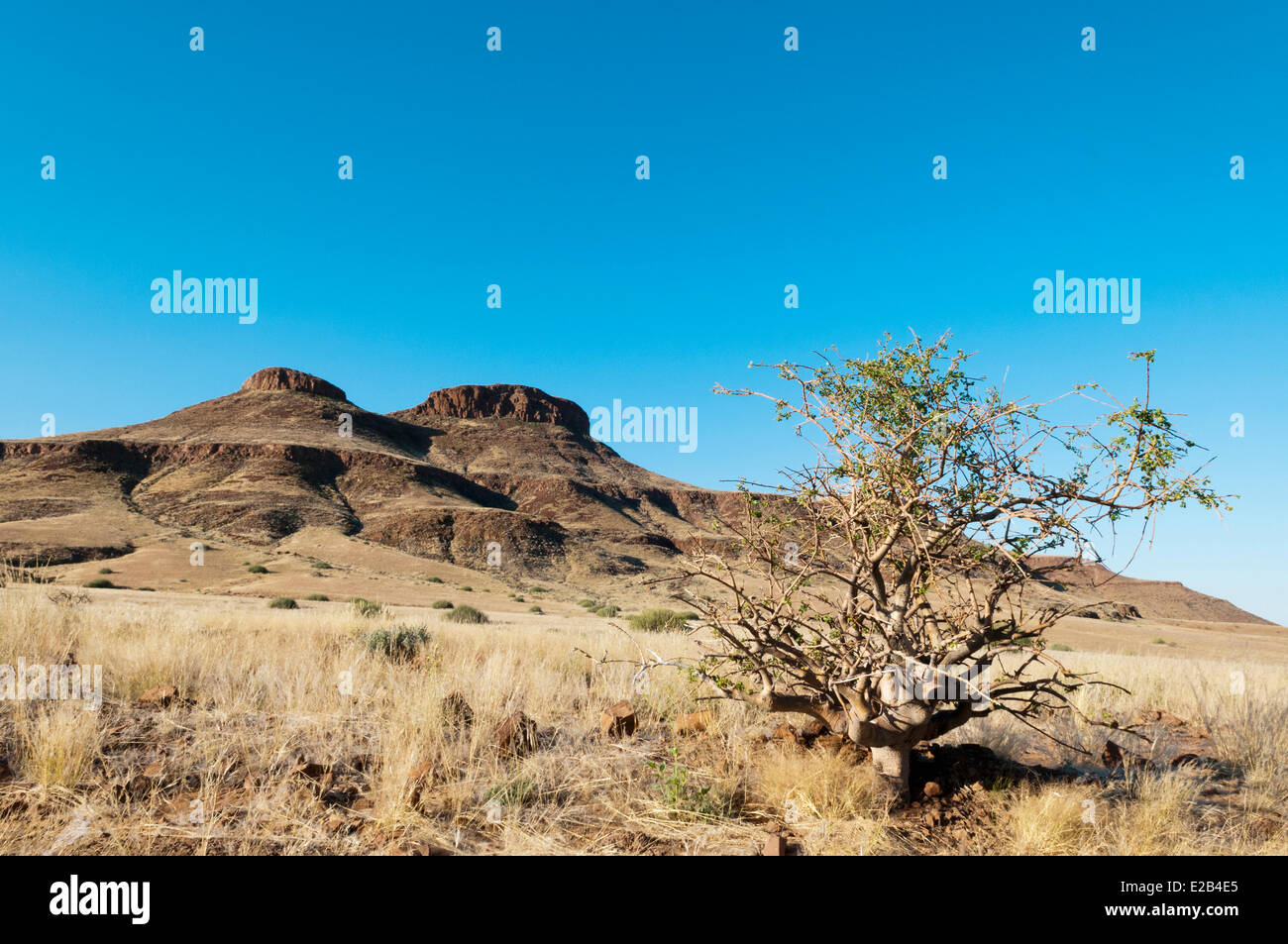 Torra conservancy hi-res stock photography and images - Alamy