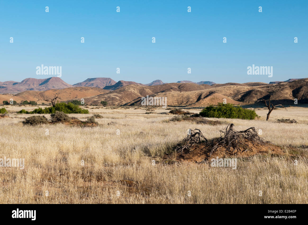 Torra conservancy hi-res stock photography and images - Alamy
