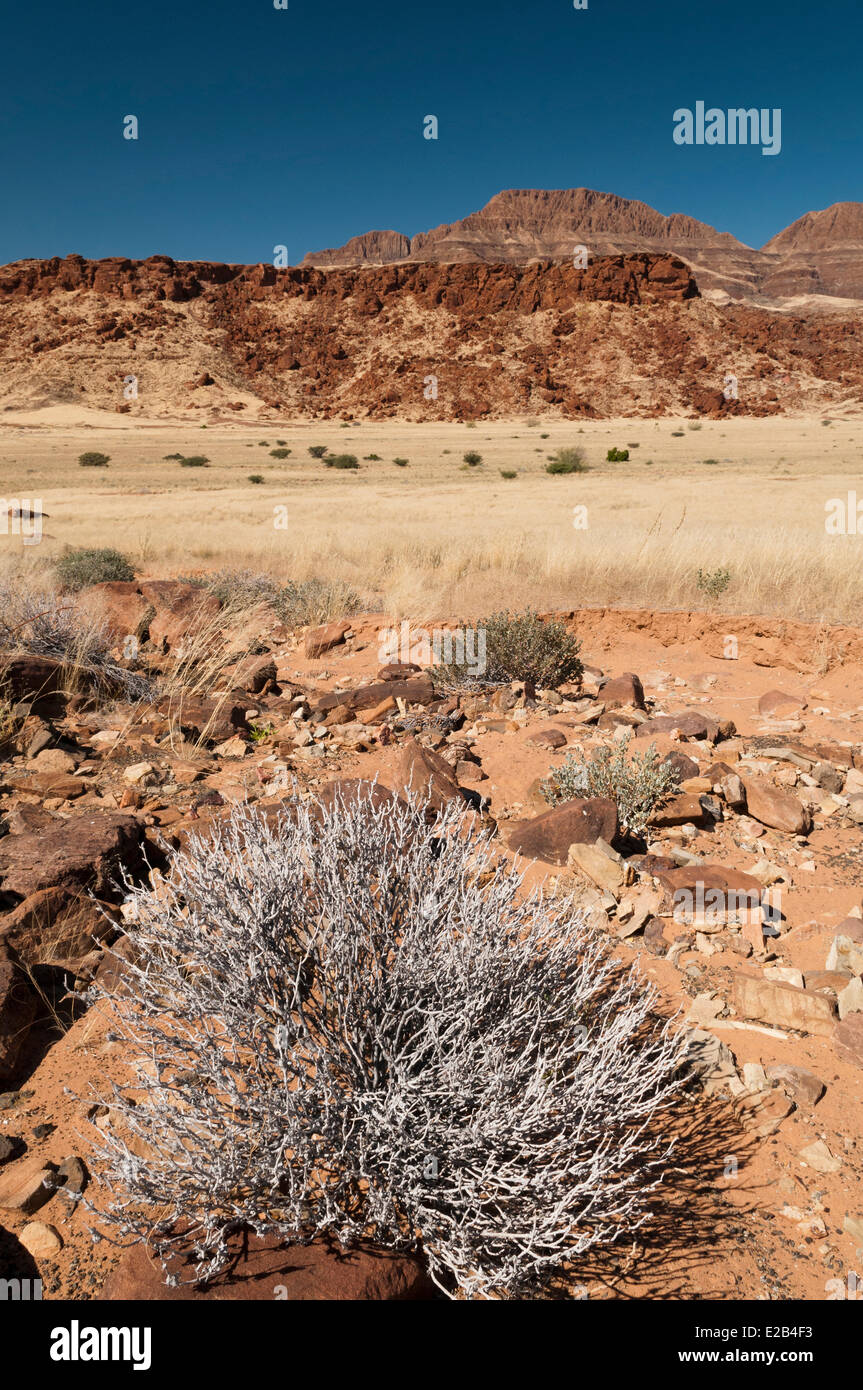 Torra conservancy hi-res stock photography and images - Alamy